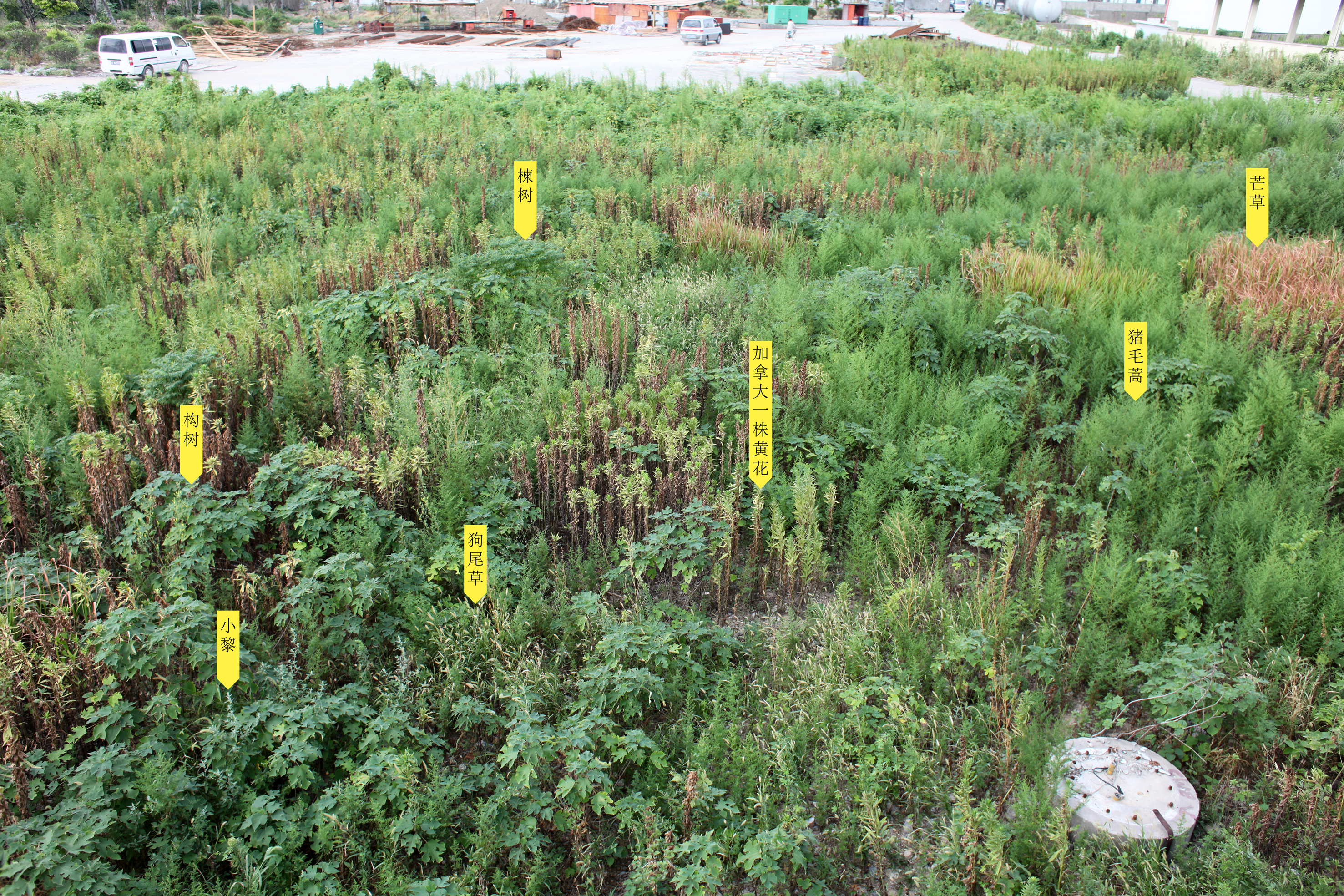 Zheng Bo: How to Live on Planet Earth | Ocula