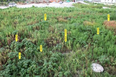 Zheng Bo: How to Live on Planet Earth | Ocula