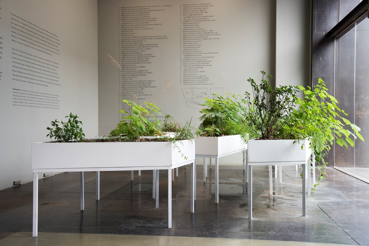 Zheng Bo: How to Live on Planet Earth | Ocula