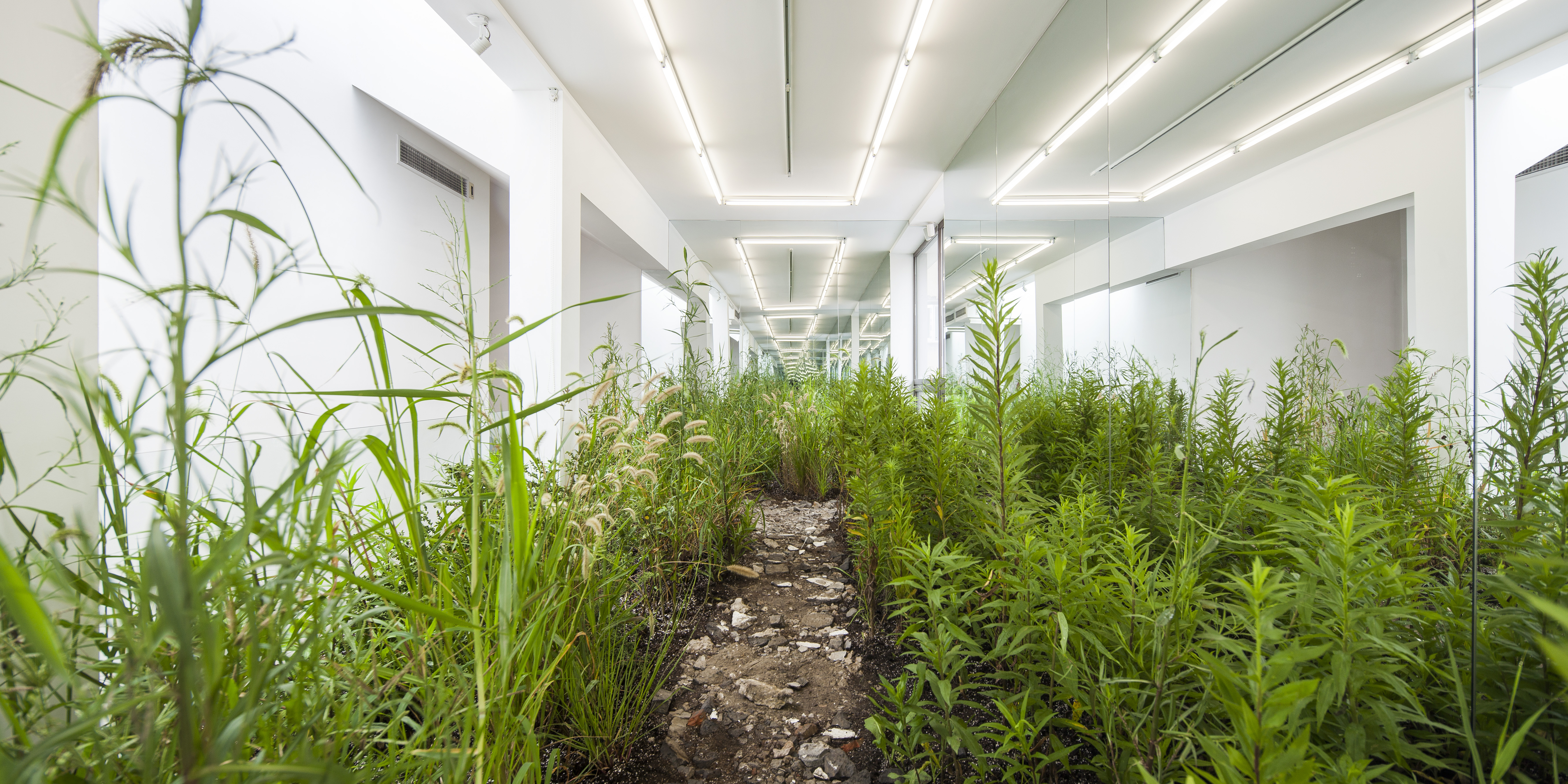 Zheng Bo: How to Live on Planet Earth | Ocula
