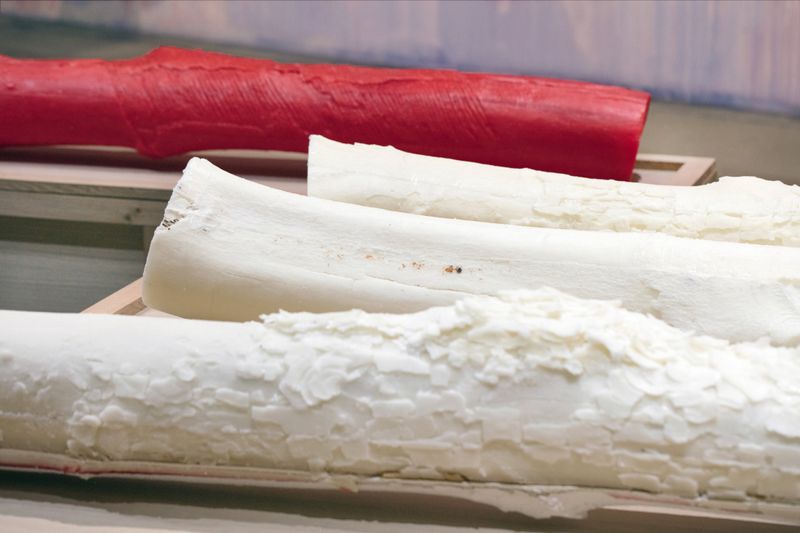 Thu-Van Tran’s Material Metamorphoses | Ocula