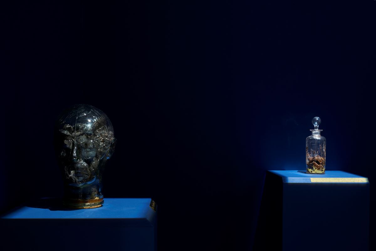 Ho Sin Tung: On Sediment and Seepage | Ocula