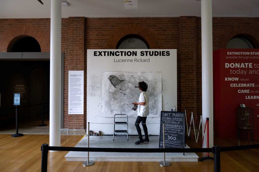 Lucienne Rickard Spent 360 Hours on a Drawing, Then Erased It | Ocula