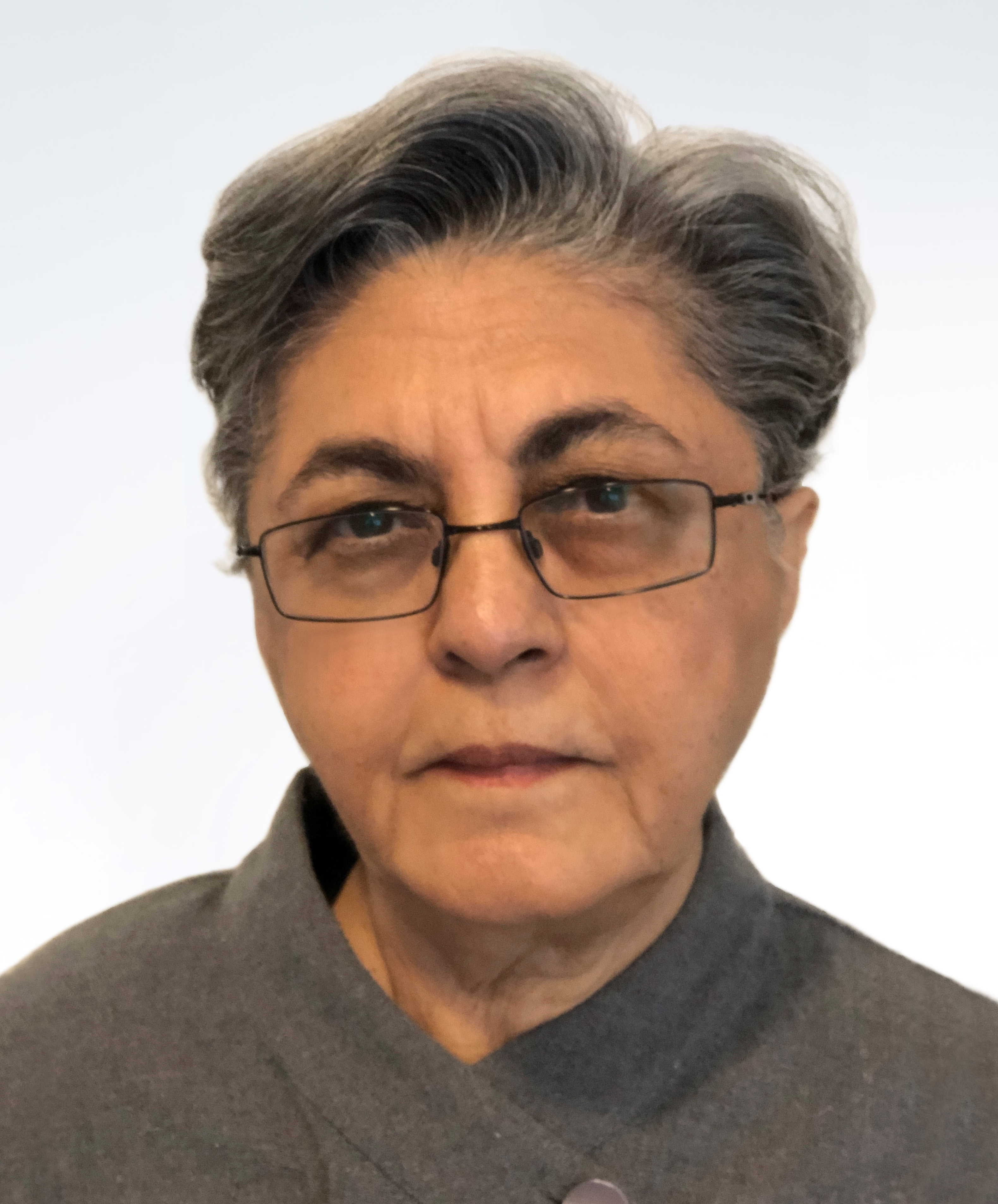 Nalini Malani Receives Lucrative Kyoto Prize for Art | Ocula