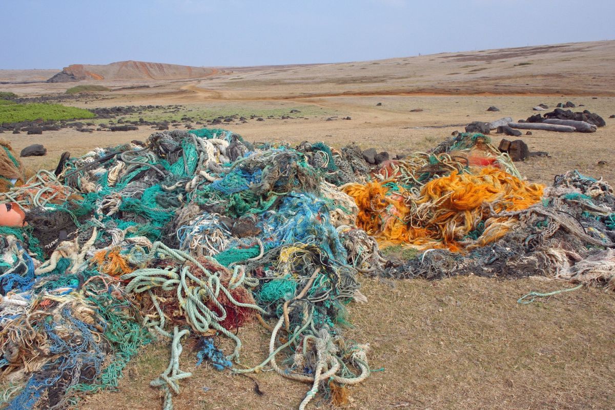 Which Galleries Will Join the Inaugural Atlanta Art Fair? | Ocula