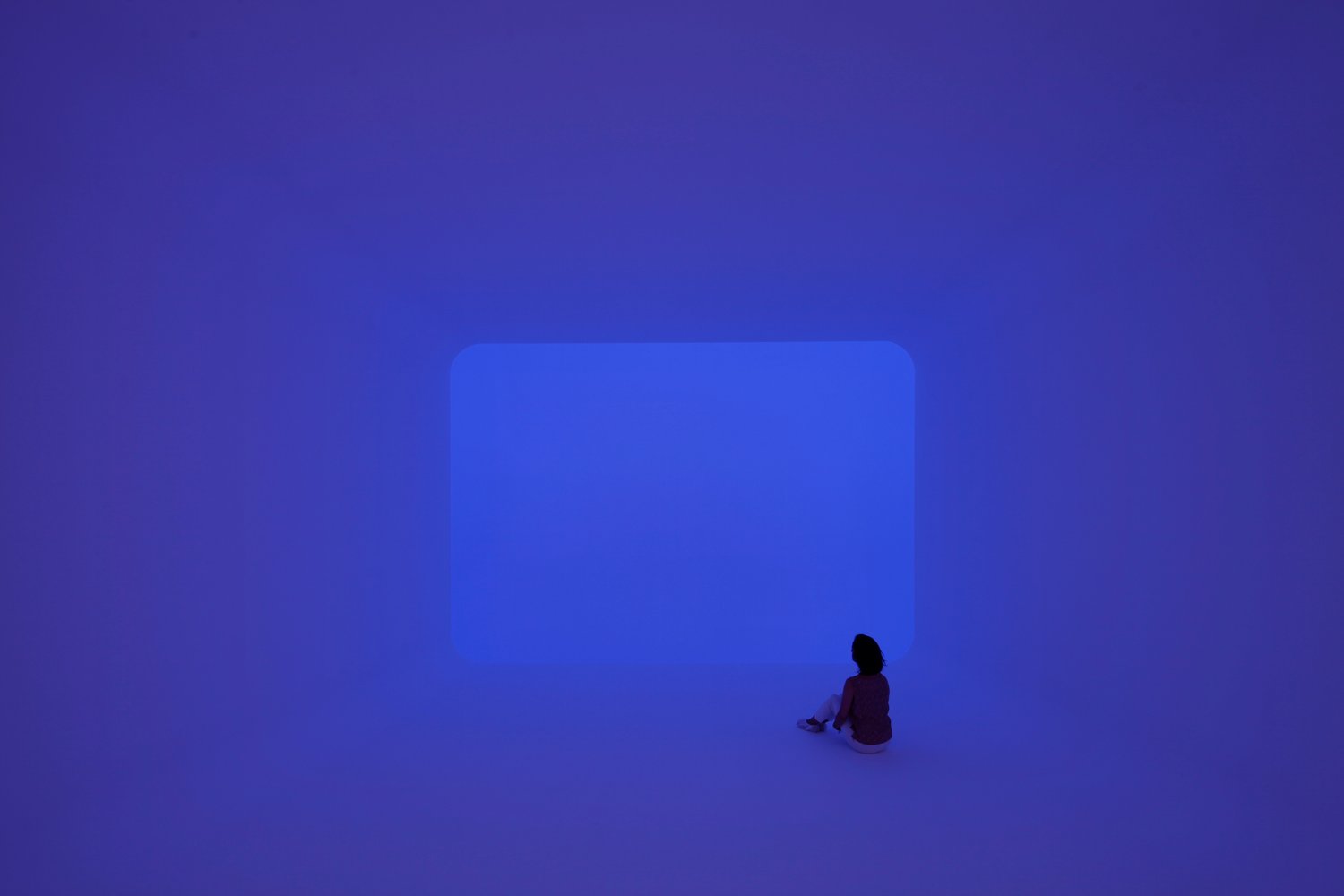 Netflix Founder to Launch a Skiable Art Museum in Utah | Ocula