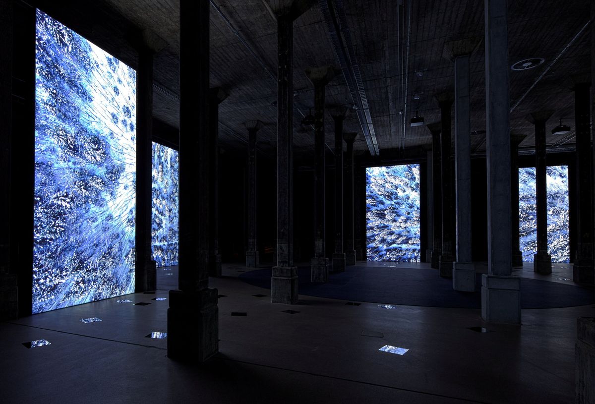 Inside Angelica Mesiti’s Tank Commission at AGNSW | Ocula