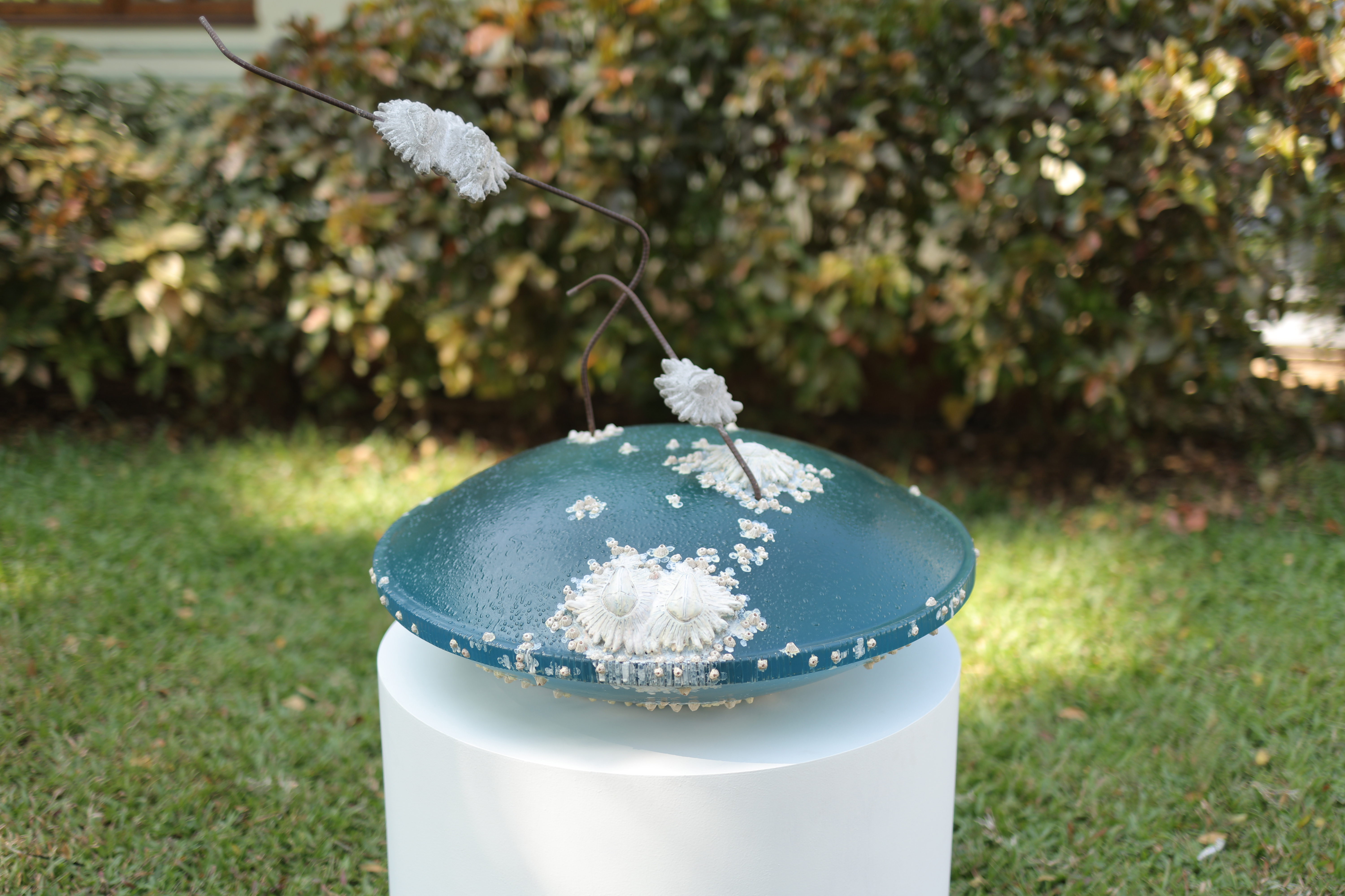 Art Mumbai Adds 18 Galleries as Indian Market Gains Momentum | Ocula