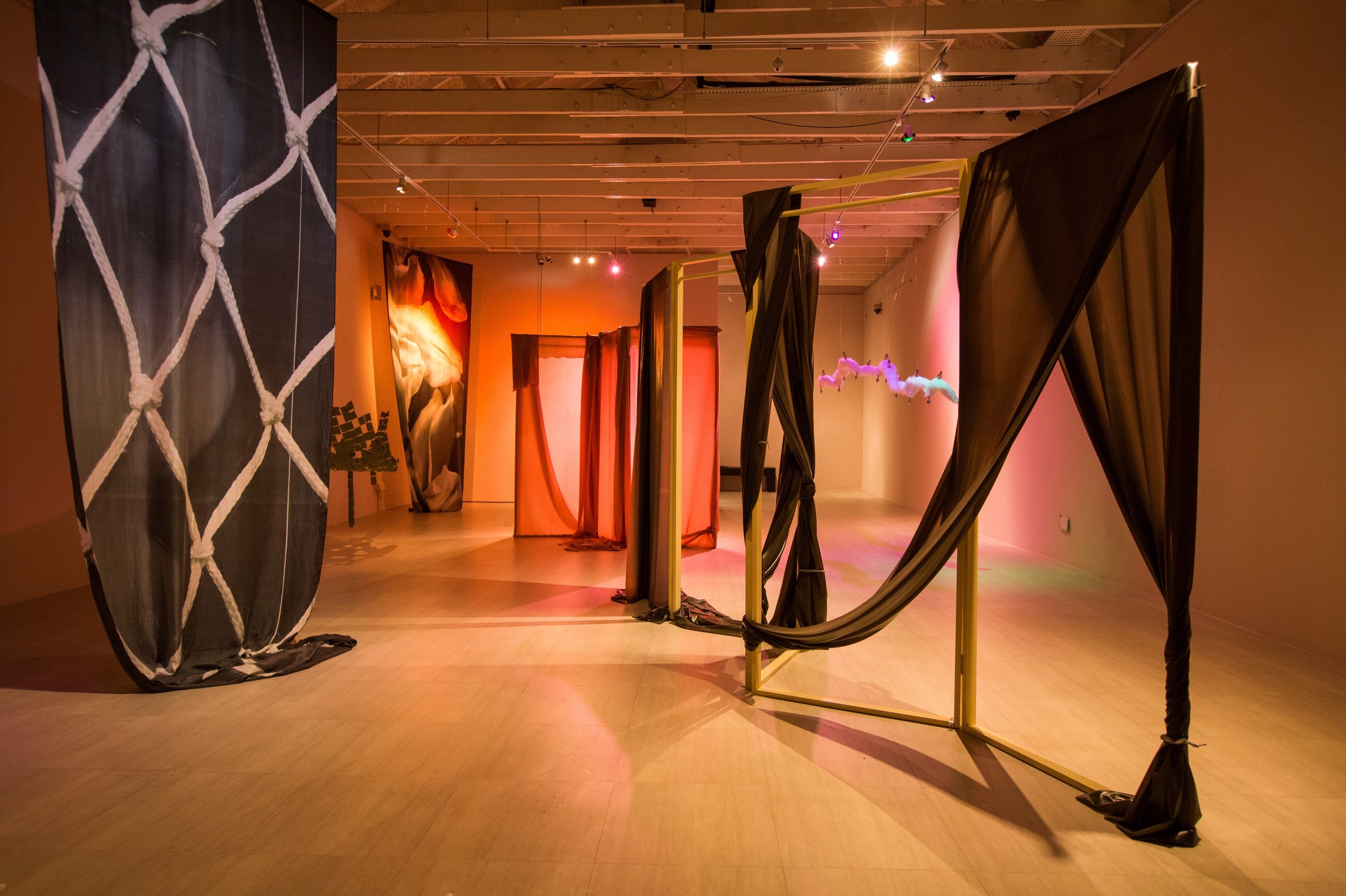 S.E.A. Focus and Singapore Art Week 2019 | Ocula