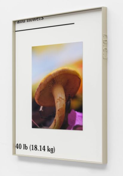 MAGALI REUS Biography, Artworks & Exhibitions | Ocula Artist