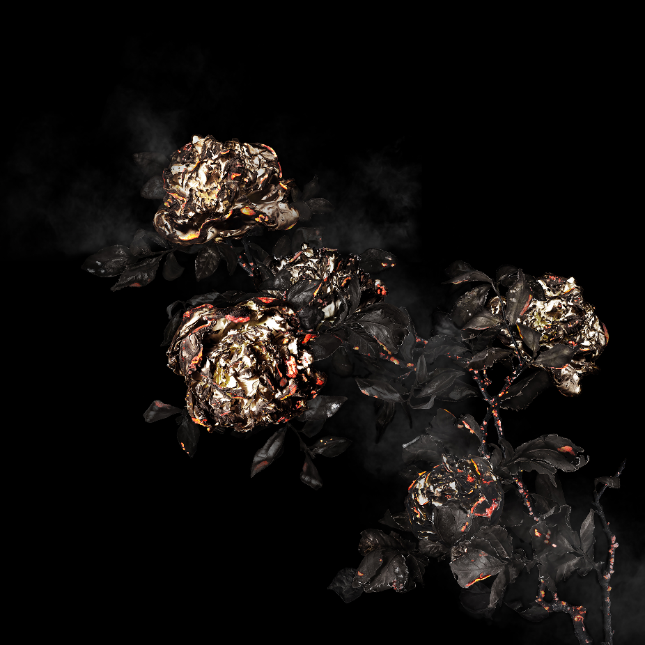 Haoyang Chen's Art For Sale, Exhibitions & Biography | Ocula Artist