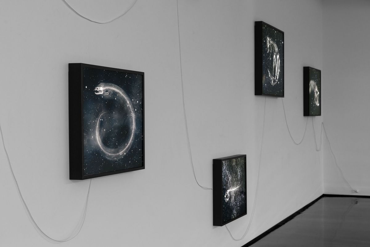 Amos Gebhardt, 'In memory of stars' at Tolarno Galleries, Melbourne ...