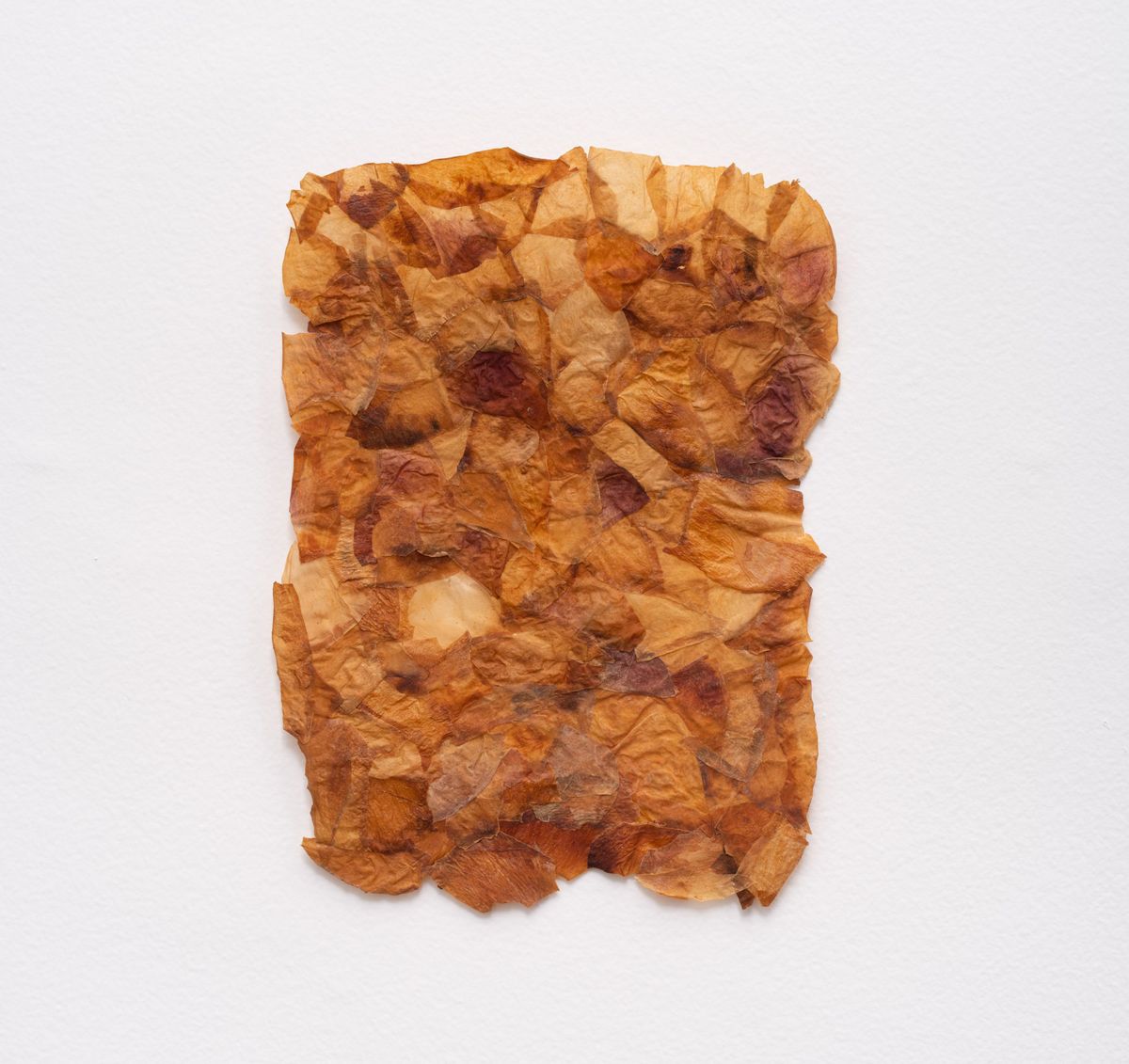 Thiago Honório's Art For Sale, Exhibitions & Biography | Ocula Artist