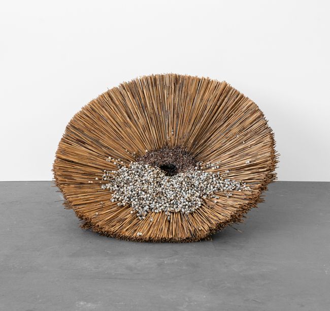 Echoes from the South, 2023 by Simphiwe Buthelezi | Ocula