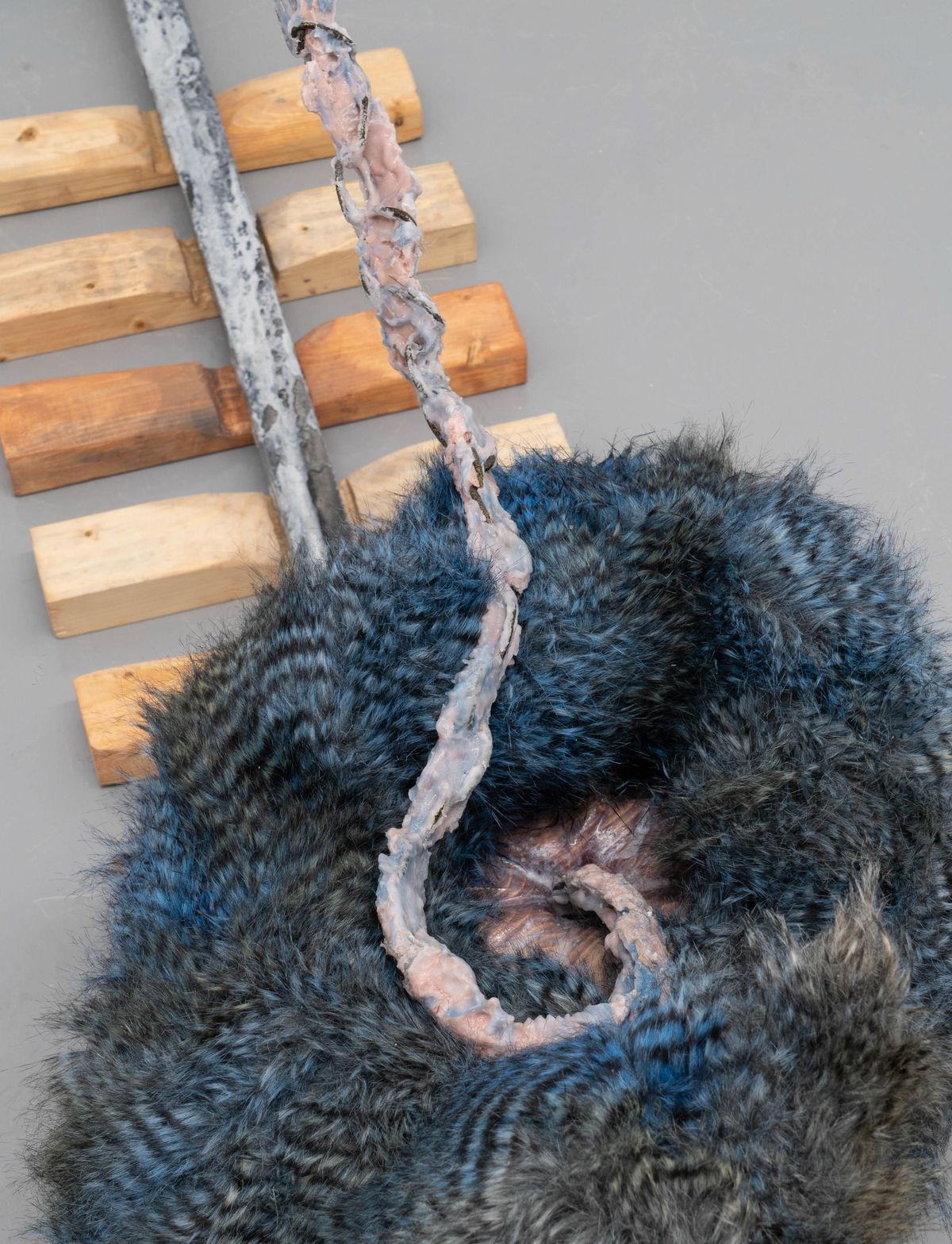 Echo Youyi Yan's Art For Sale, Exhibitions & Biography | Ocula Artist