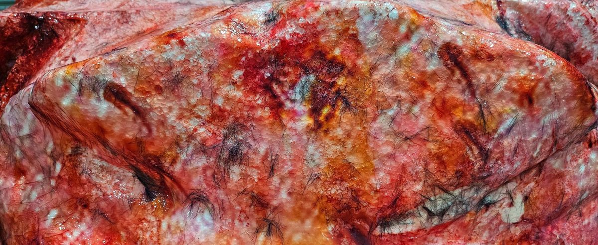 'Hysterical Feedback' at Alternative Space LOOP, Seoul, South Korea on 2–31 Aug 2024 | Ocula