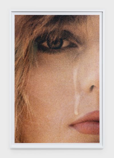 Anne Collier Biography, Artworks & Exhibitions | Ocula Artist