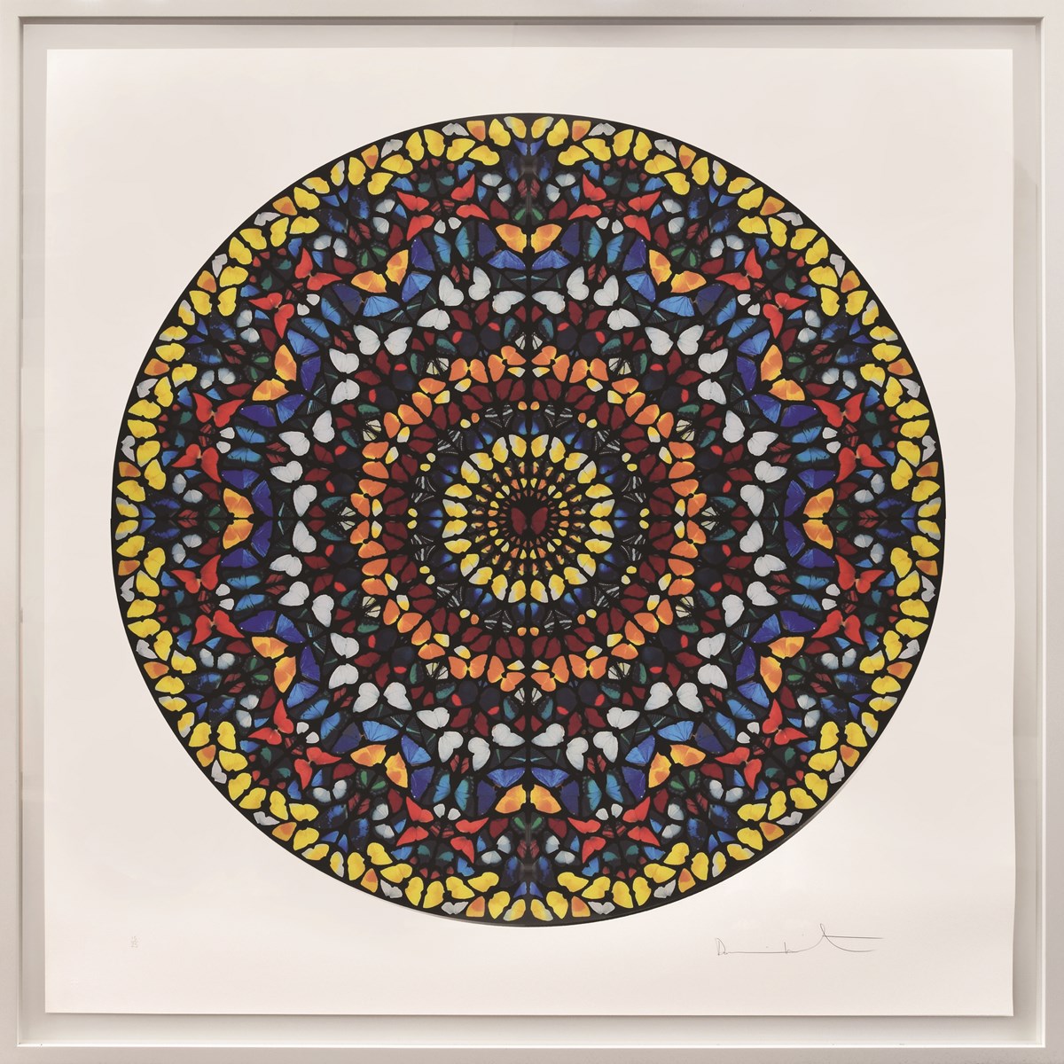 Damien Hirst's Art For Sale, Exhibitions & Biography | Ocula Artist