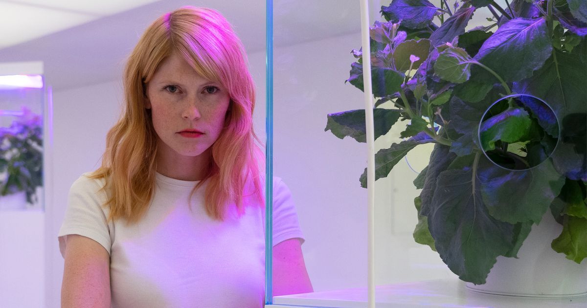 Dana-Fiona Armour Awarded 2024 Sigg Art Prize | Ocula