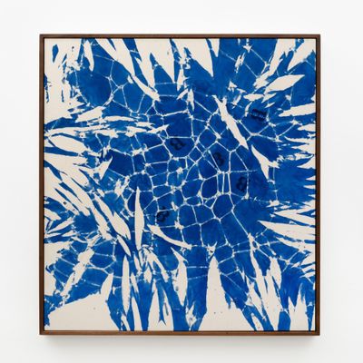 Maia Ruth Lee Artworks | Ocula Artist