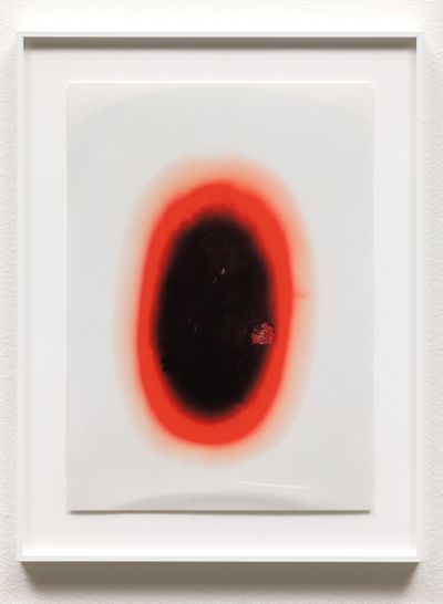 Flora Klein Biography, Artworks & Exhibitions | Ocula Artist