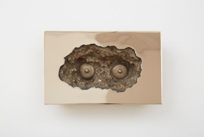 Shan Hur Biography, Artworks & Exhibitions | Ocula Artist