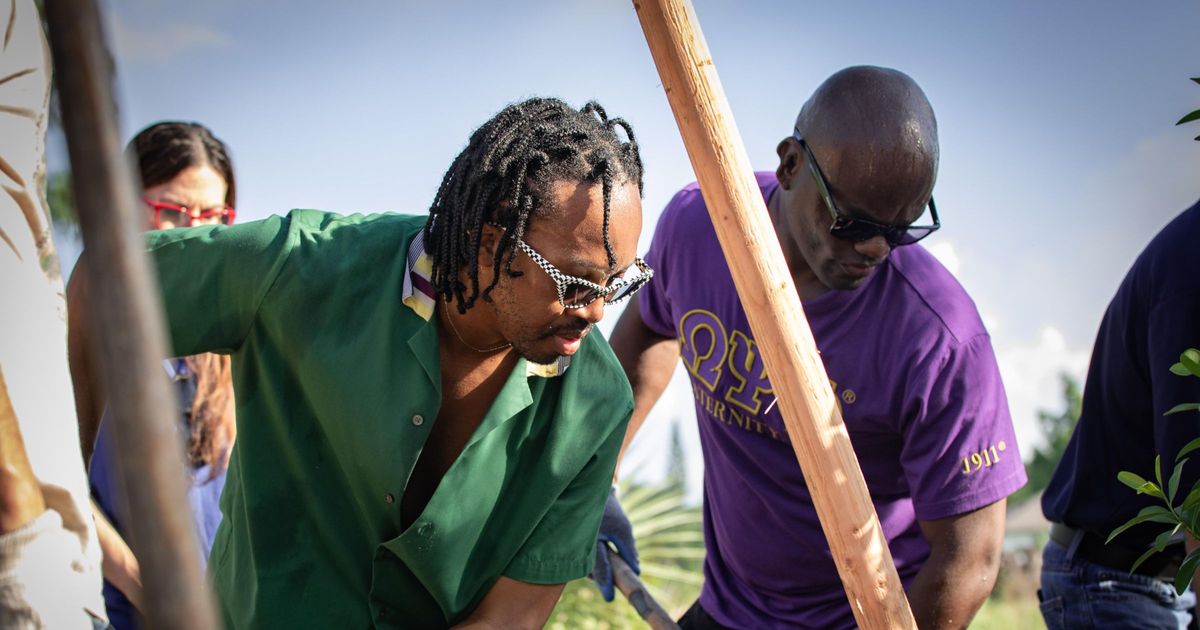 Poetic Justice to Plant 40,000 Trees as Black Lives Memorial | Ocula