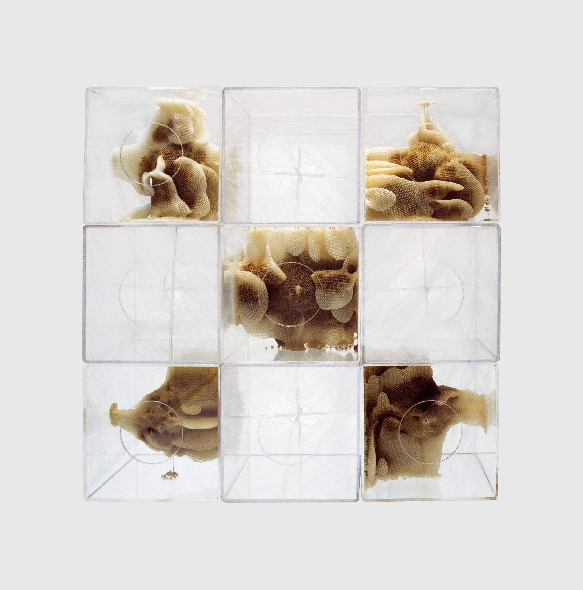 Ren Ri | Artist Profile, Exhibitions & Artworks | Ocula