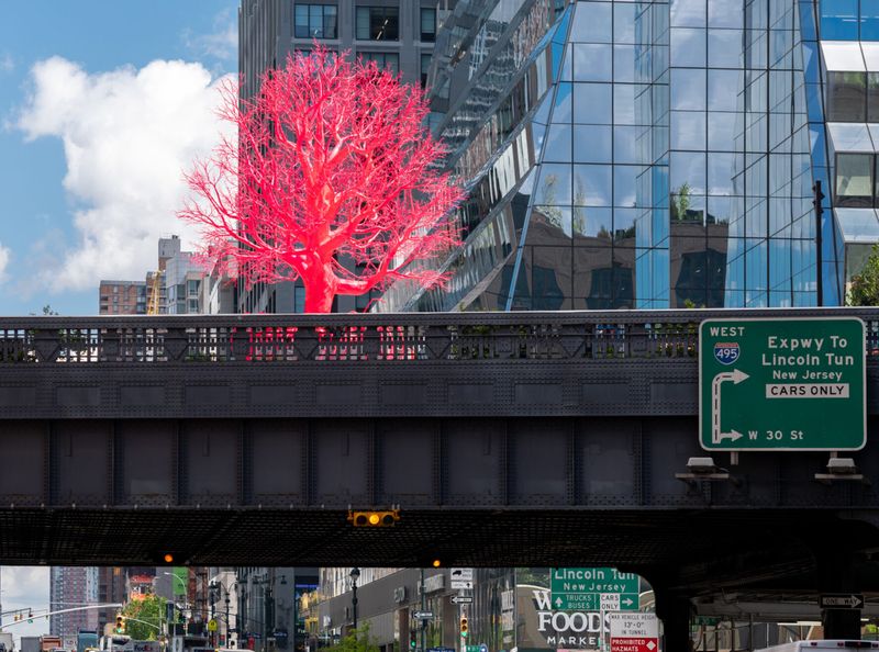 Pamela Rosenkranz’s Hot Pink Tree Debuts on the High Line | Ocula