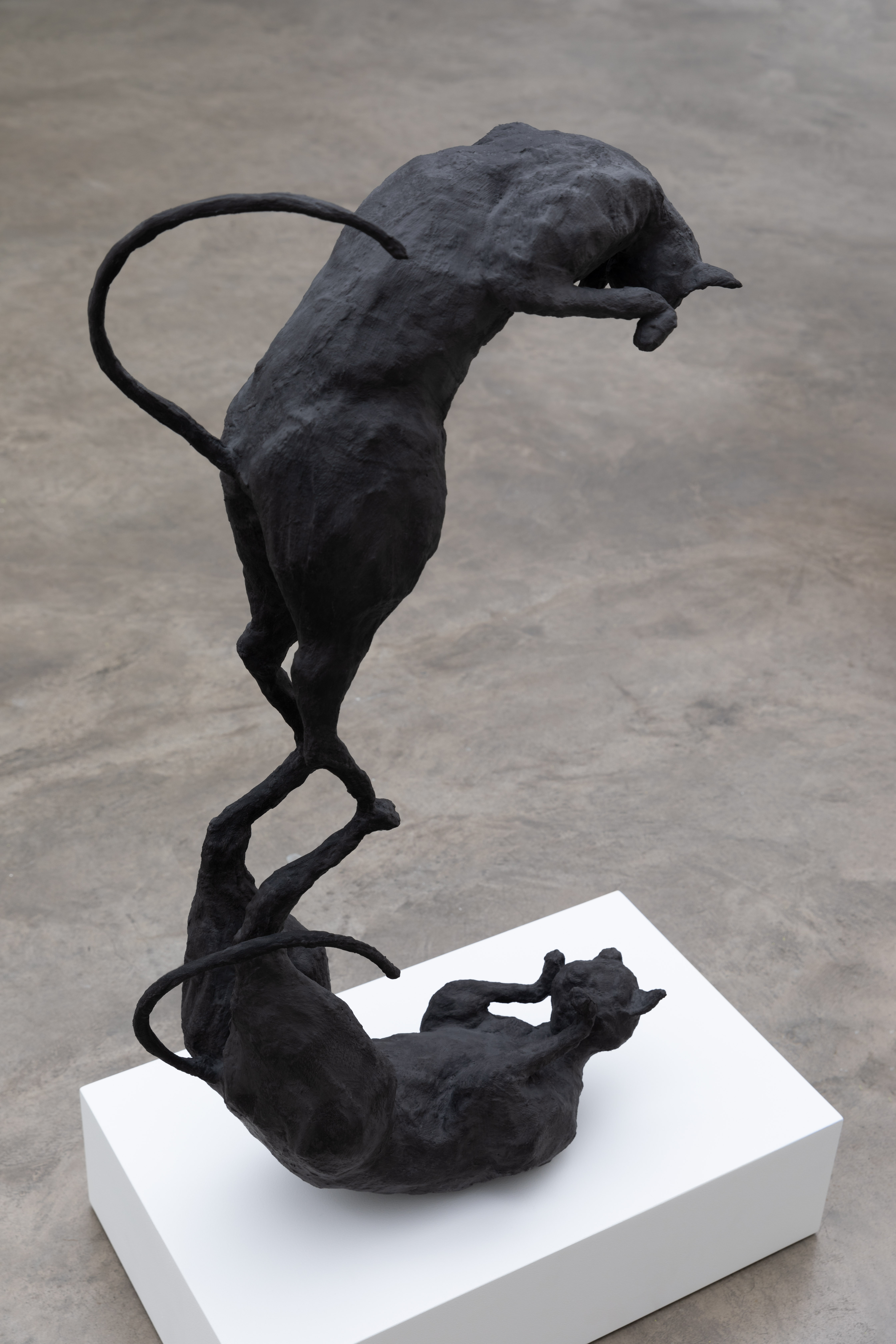 Cats VI, 2021 by Andy Fitz | Ocula