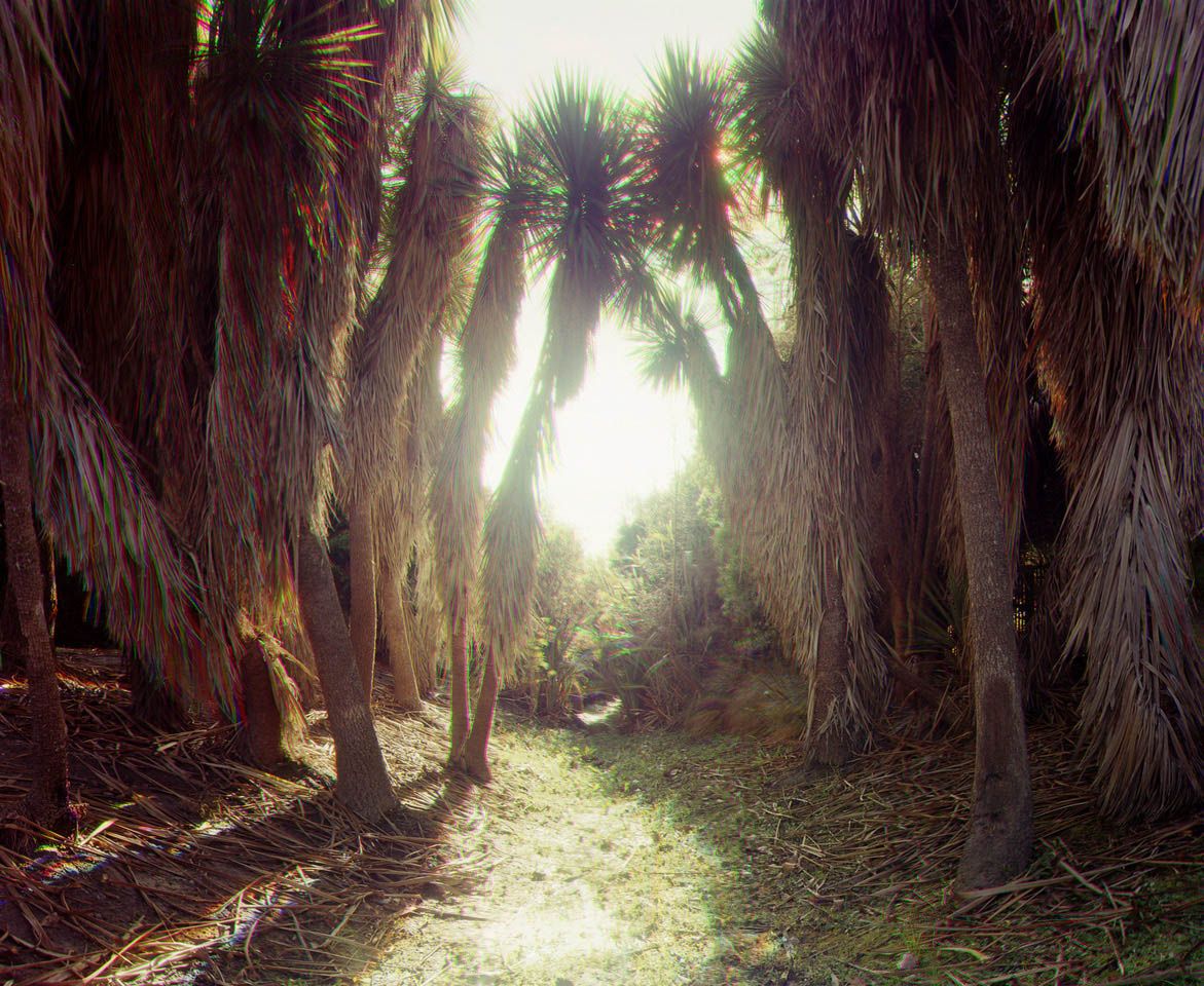 Tim J Veling's Art For Sale, Exhibitions & Biography | Ocula Artist