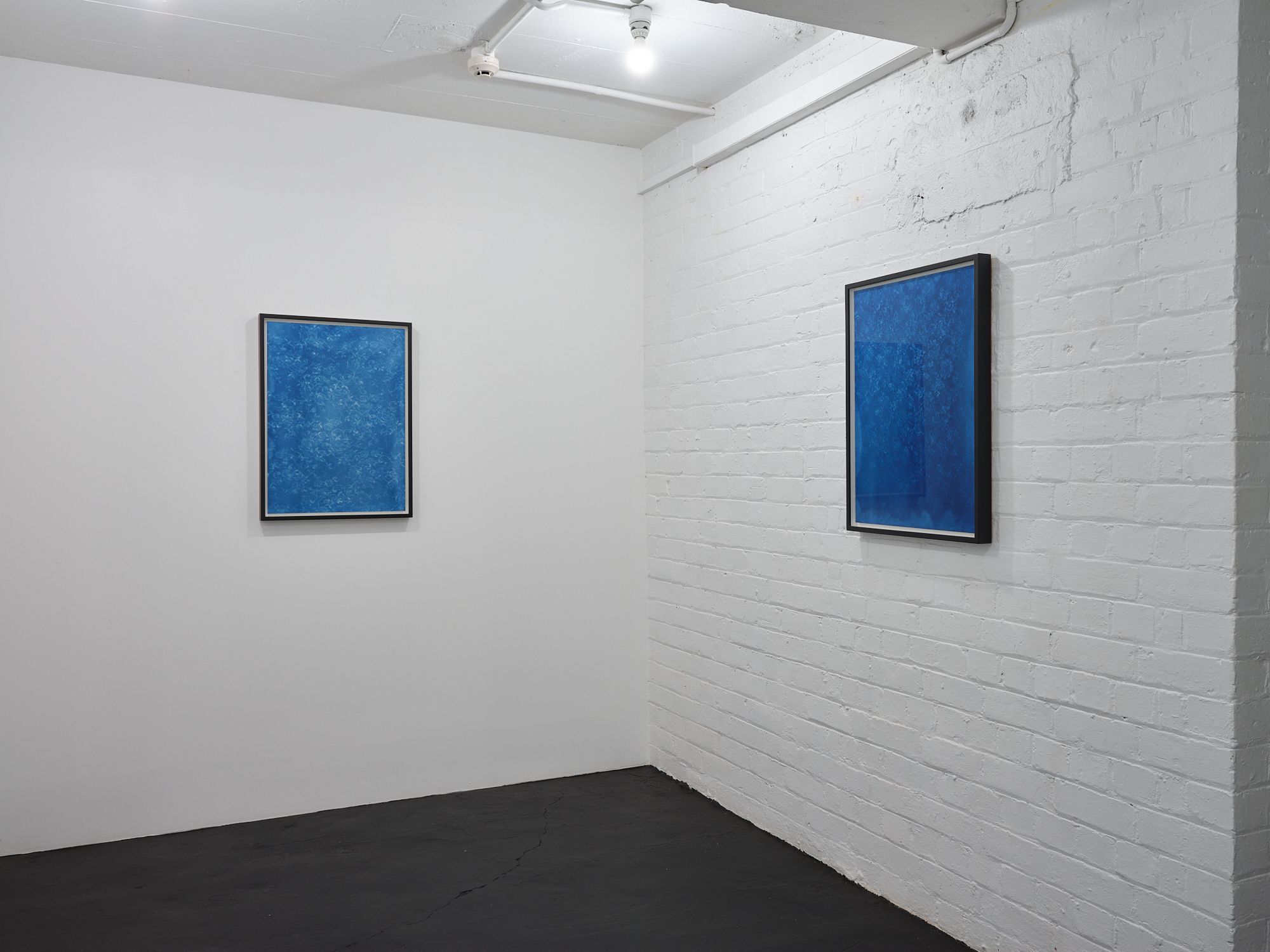 Gavin Hipkins, 'Blue Field' at Michael Lett, Karangahape Road, Auckland ...