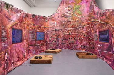 Sungsil Ryu, 'Return to Roots: A Retrospective in Memory of Cherry Jang ...