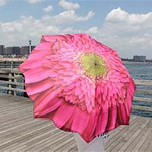 Theo Anderson's Art For Sale, Exhibitions & Biography | Ocula Artist