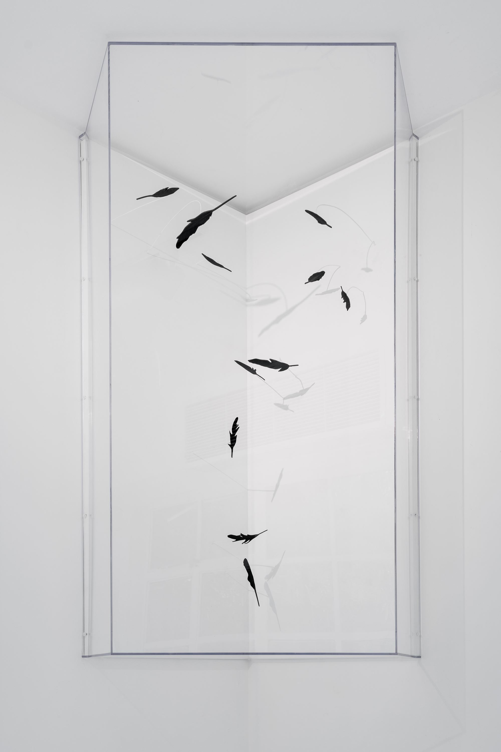 Maya Kramer Artworks | Ocula Artist