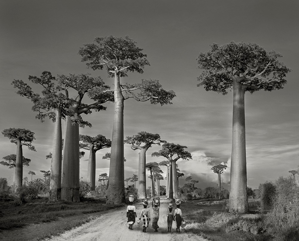 Beth Moon Biography, Artworks & Exhibitions | Ocula Artist