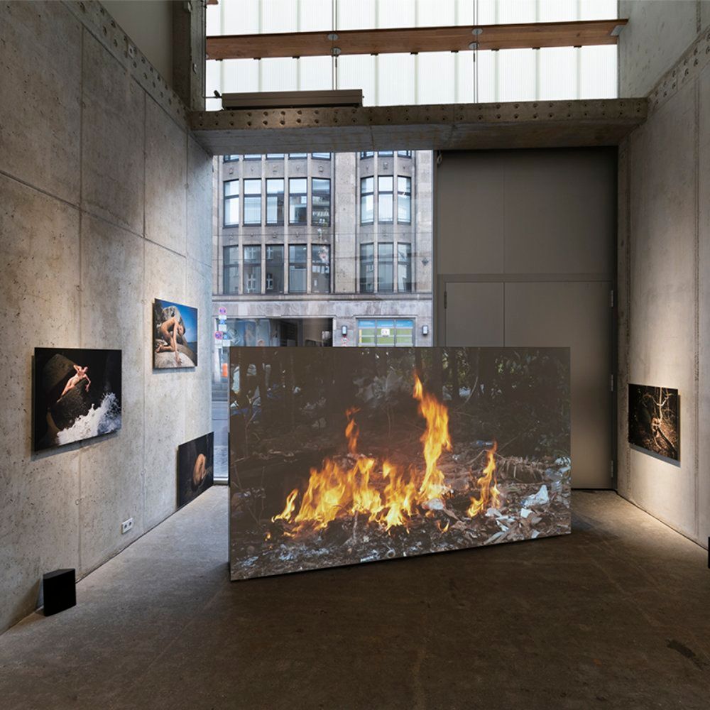 Shen Xin's Art For Sale, Exhibitions & Biography | Ocula Artist