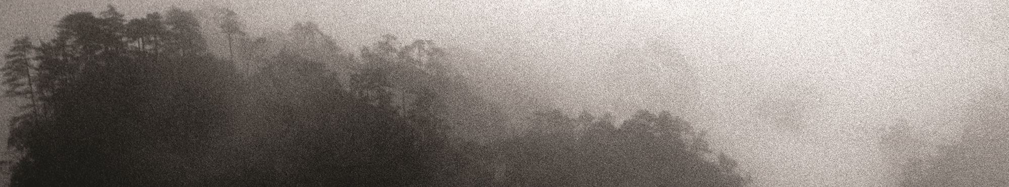 Michael Cherney | Artist Profile, Exhibitions & Artworks | Ocula