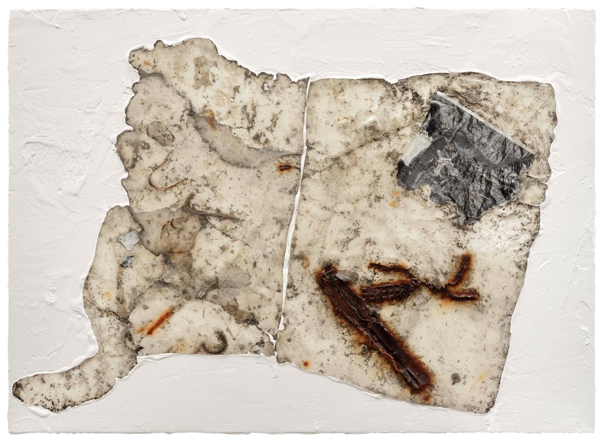 Shang Yang Biography, Artworks & Exhibitions | Ocula Artist