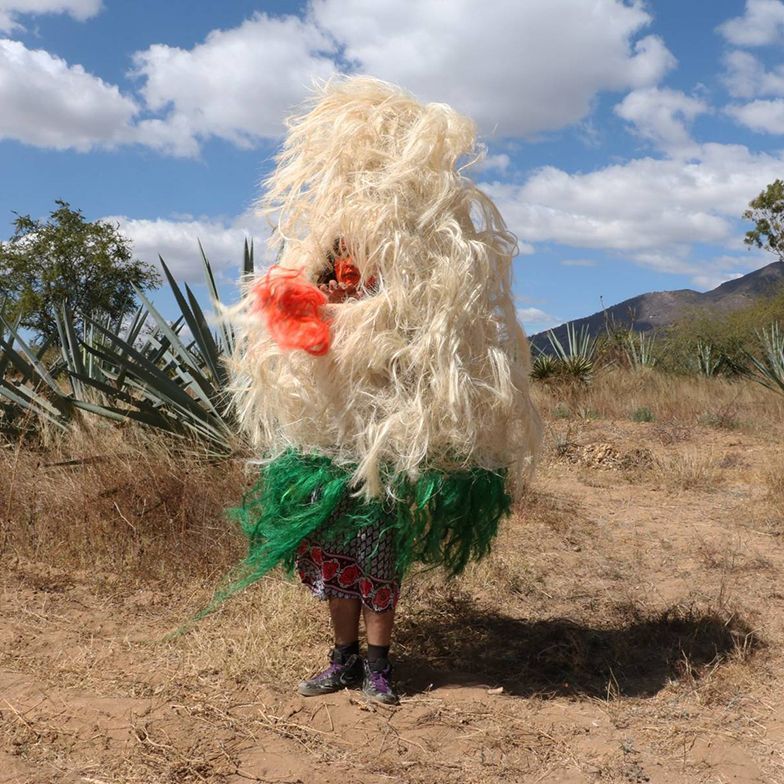 Naomi Rincón Gallardo's Art For Sale, Exhibitions & Biography | Ocula ...