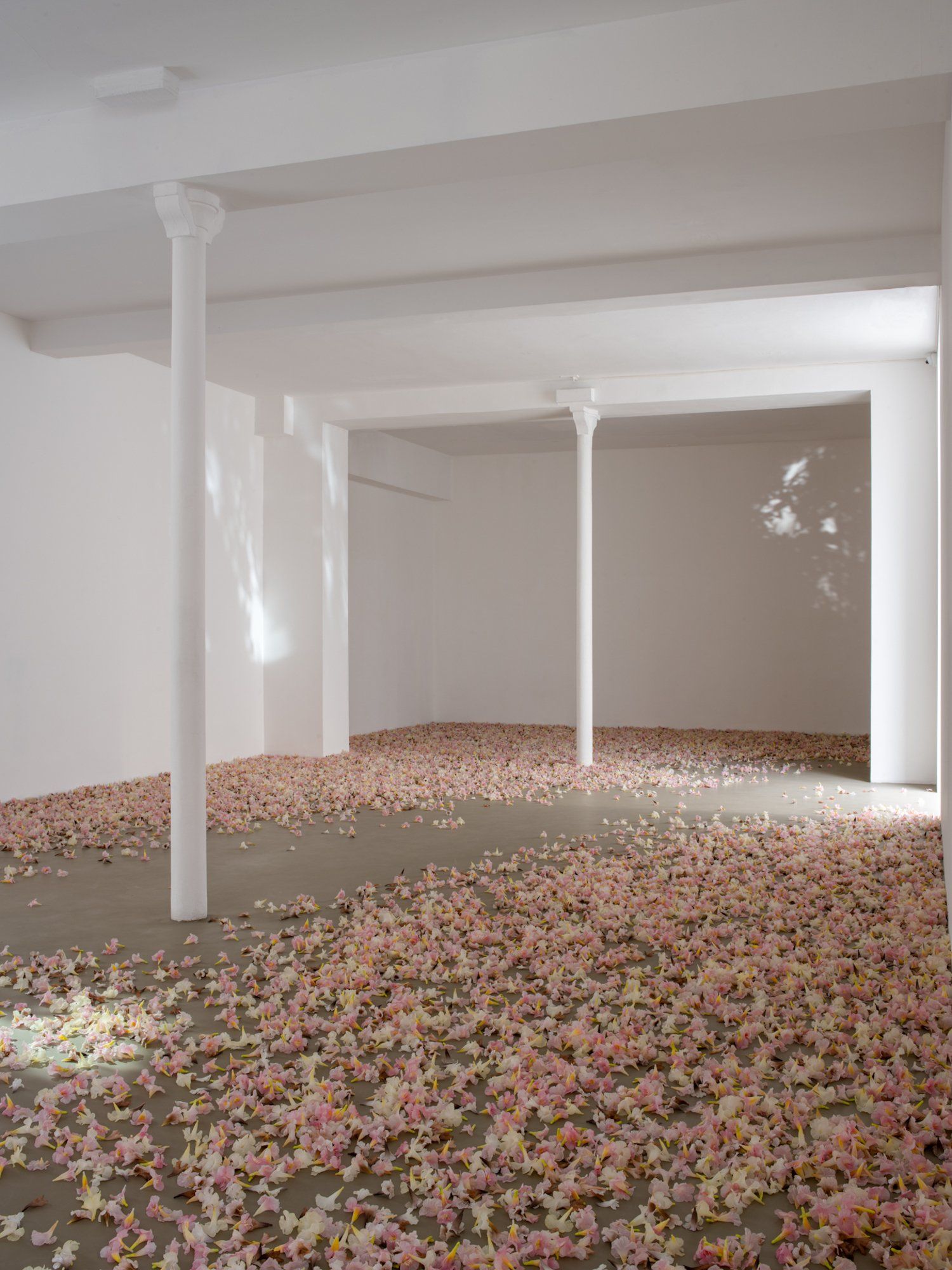 Allora & Calzadilla Artworks | Ocula Artist