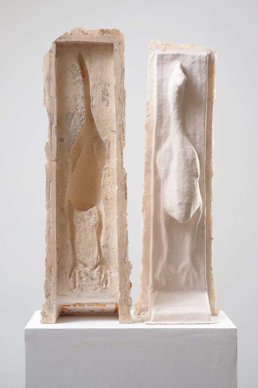 Evan Holloway Biography, Artworks & Exhibitions | Ocula Artist