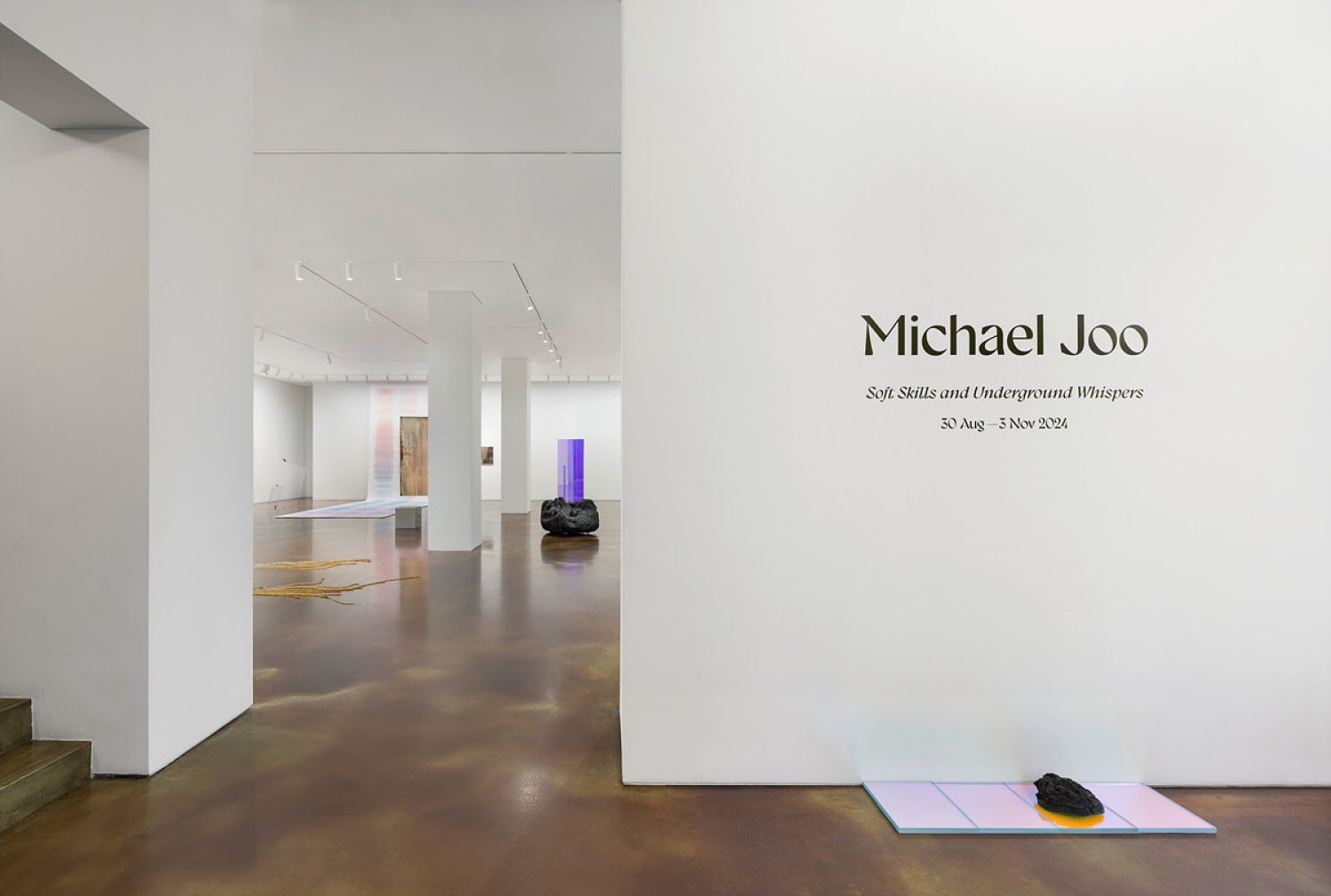 Michael Joo, 'Soft Skills and Underground Whispers' at Kukje Gallery ...