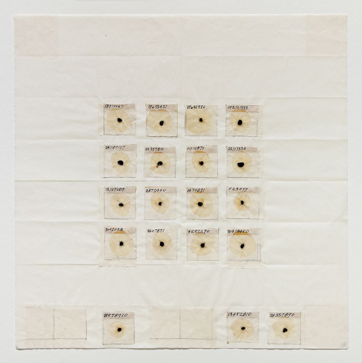 Michelle Stuart Artworks | Ocula Artist