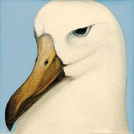 Helen Wright Biography, Artworks & Exhibitions | Ocula Artist