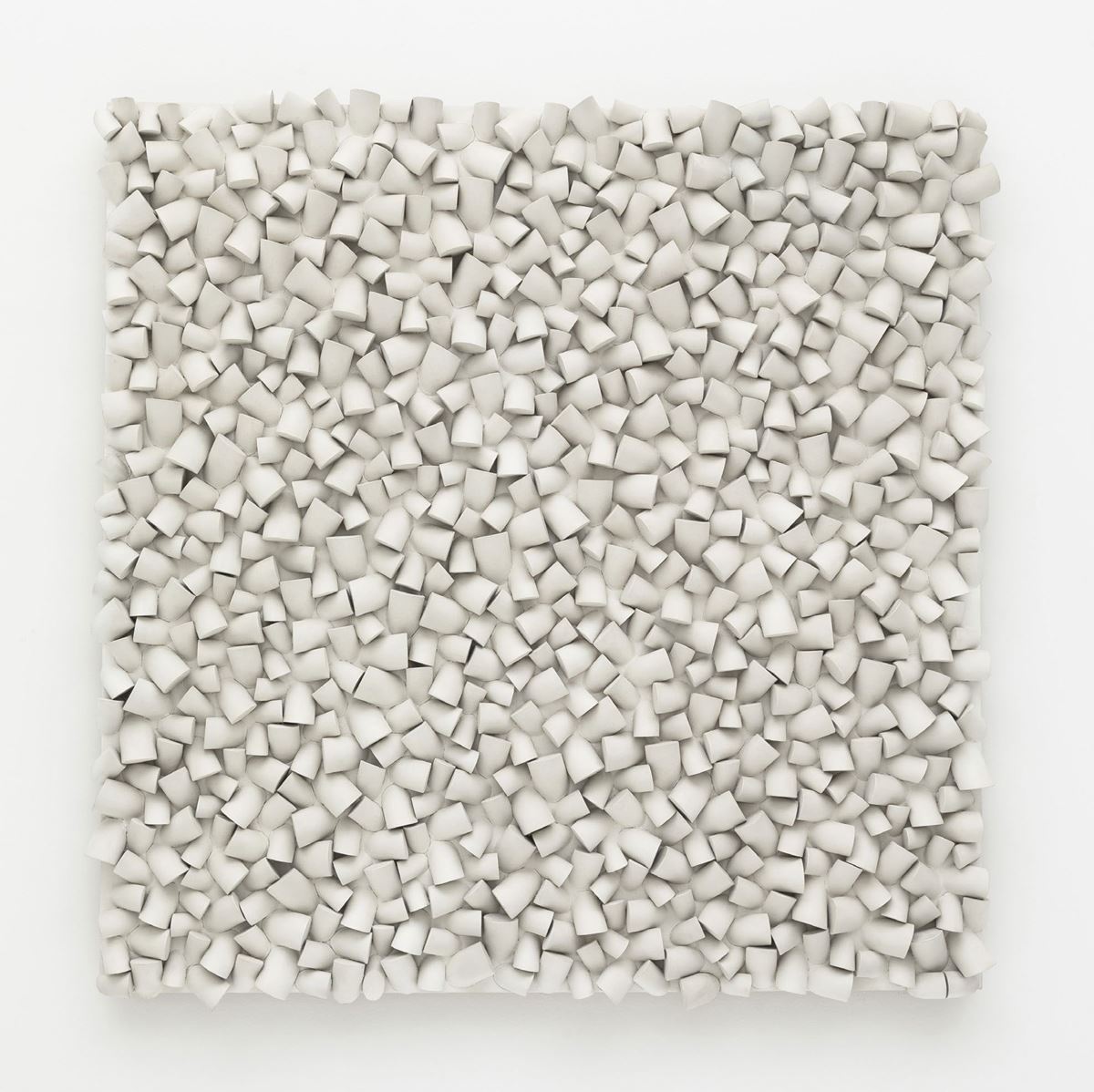 Sergio Camargo Artworks | Ocula Artist