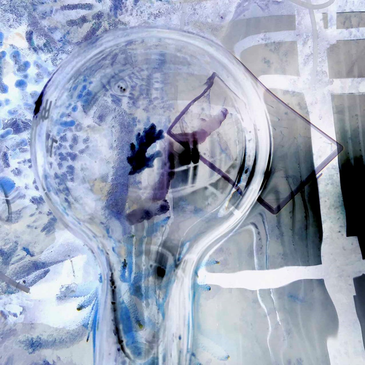 Janet Laurence Biography, Artworks & Exhibitions | Ocula Artist