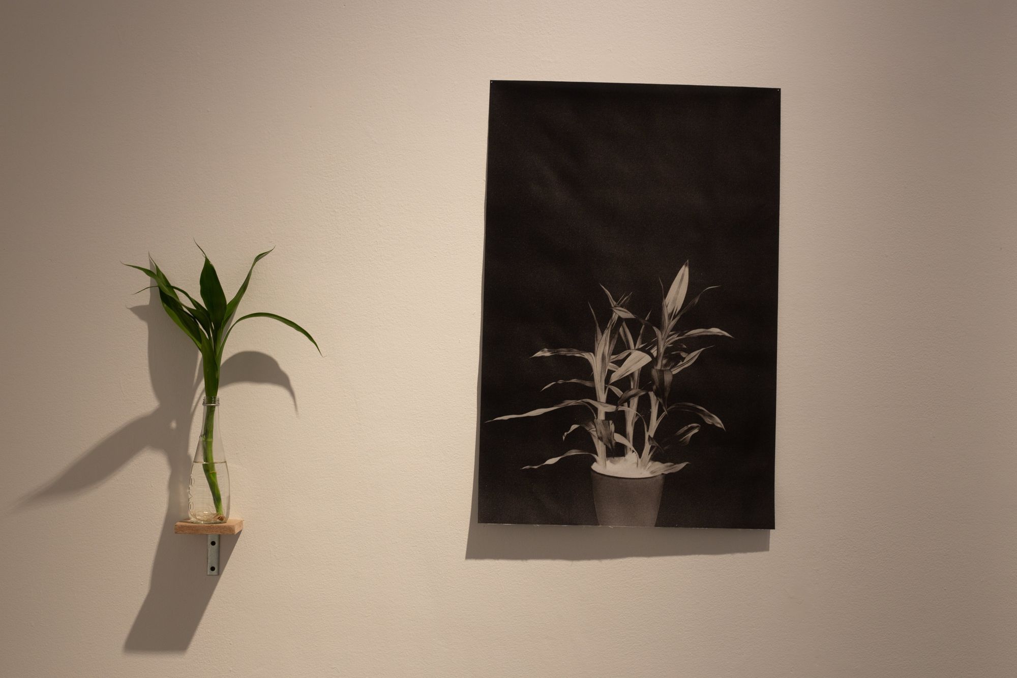 Issay Rodriguez Biography, Artworks & Exhibitions | Ocula Artist