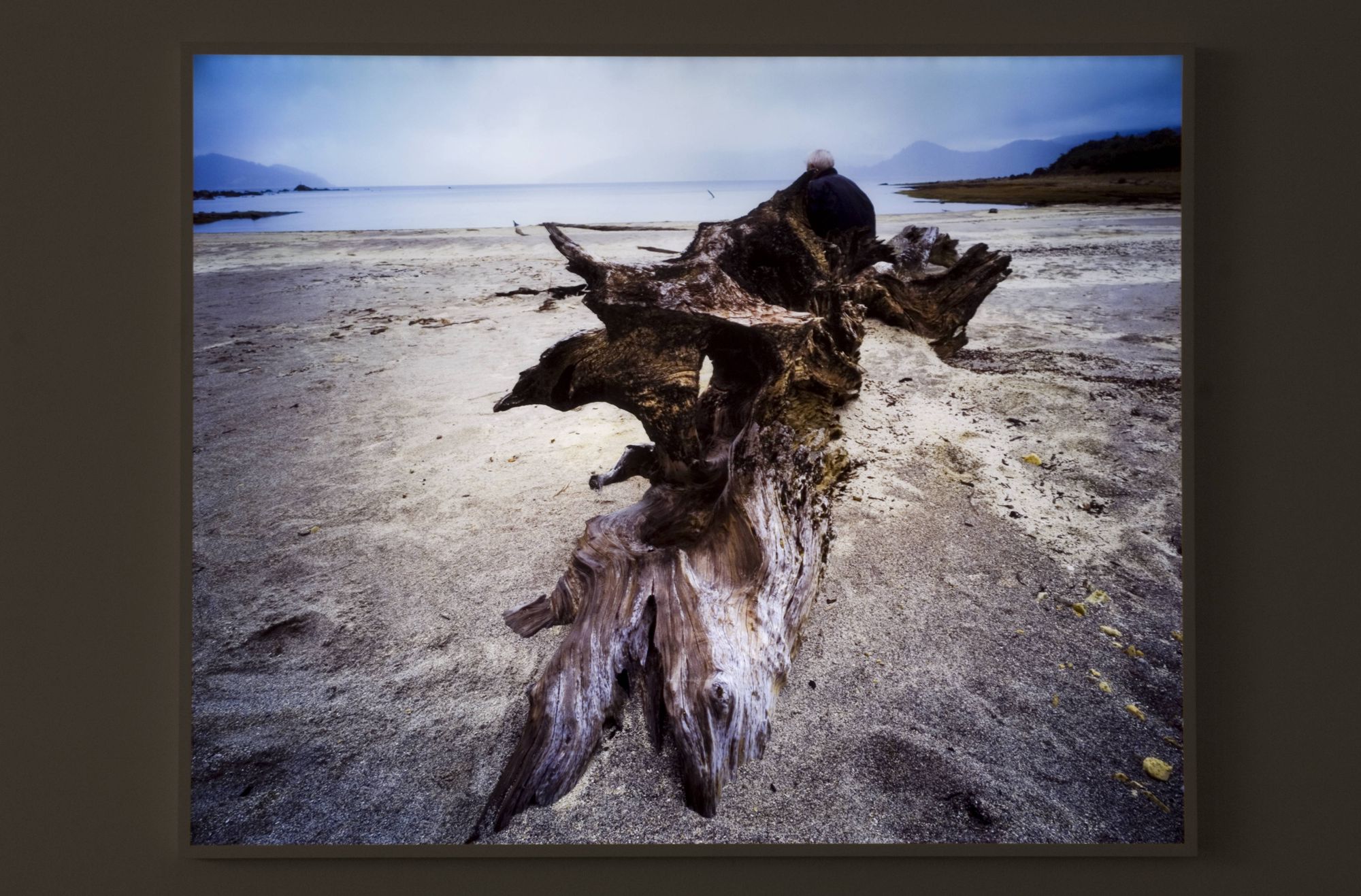 Isaac Julien Biography, Artworks & Exhibitions | Ocula Artist