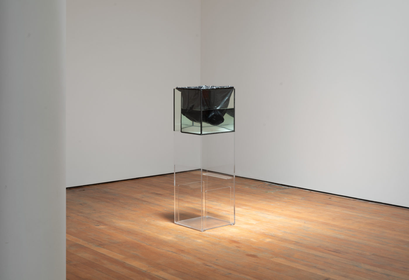 Stop Shell (ghost fishing version), 2018 by Richard Frater | Ocula